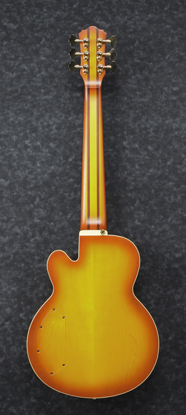 Ibanez TCB1006-ALM (autumn leaf burst matte, w/ case)
