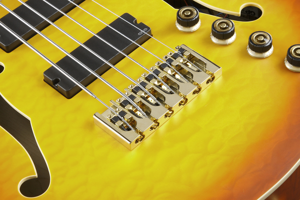Ibanez TCB1006-ALM (autumn leaf burst matte, w/ case)